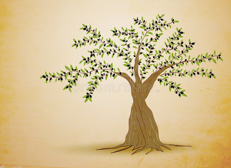 Olive tree vector stock vector. Illustration of plant - 124939356