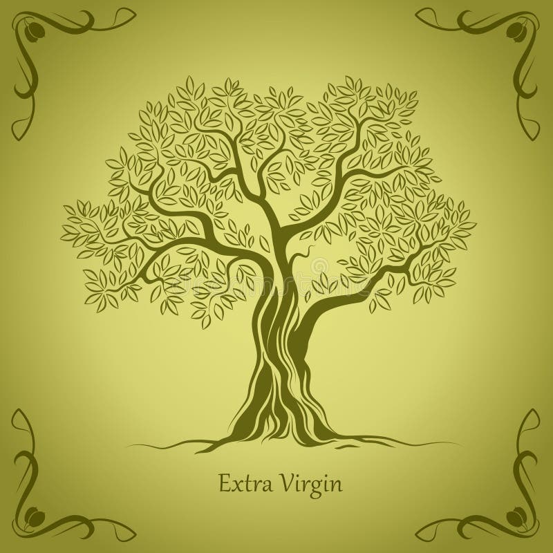 Olive Tree. Olive Oil. Vector Olive Tree.for Labels, Pack. Stock Vector ...