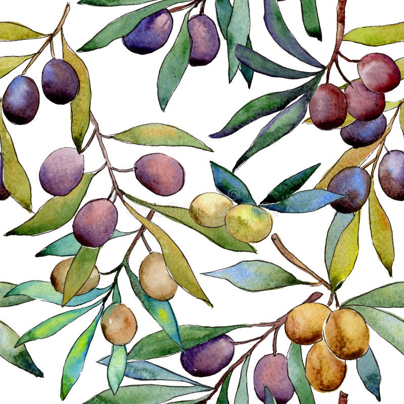Olive Tree Pattern in a Watercolor Style. Stock Illustration ...
