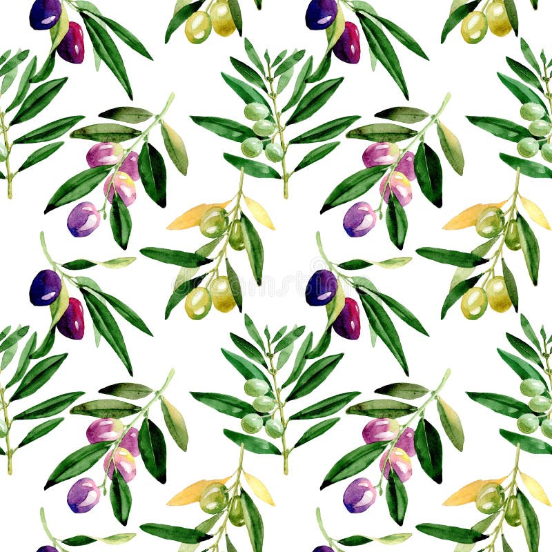 Olive Tree Pattern in a Watercolor Style. Stock Illustration ...