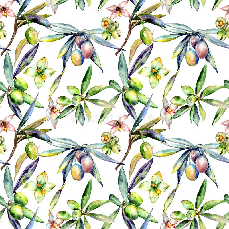 Olive Tree Pattern in a Watercolor Style Isolated. Stock Illustration ...
