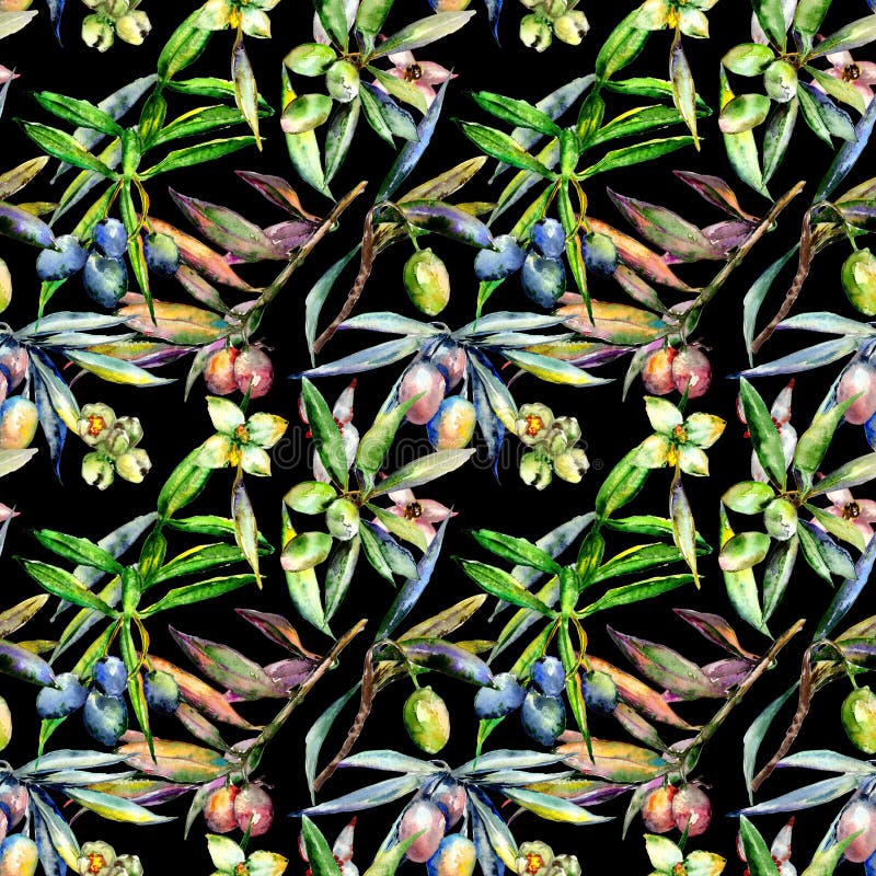 Olive Tree Pattern in a Watercolor Style Isolated. Stock Image - Image ...