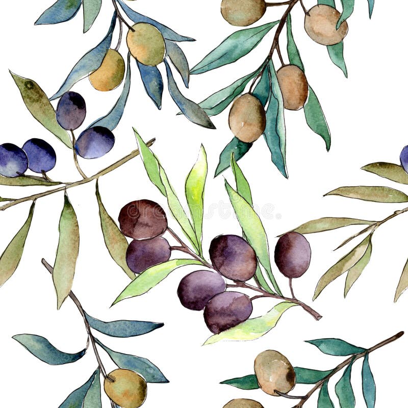 Olive Tree Pattern in a Watercolor Style. Stock Illustration ...