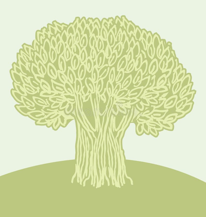 Olive tree poster stock vector. Illustration of graphics - 23747128