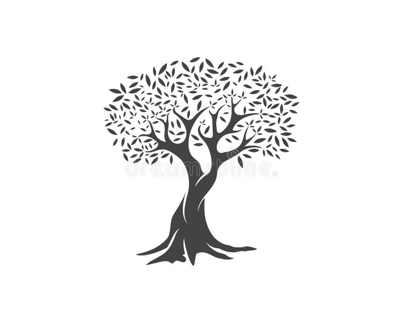 Olive Tree Vector Illustration Stock Vector - Illustration of nature ...