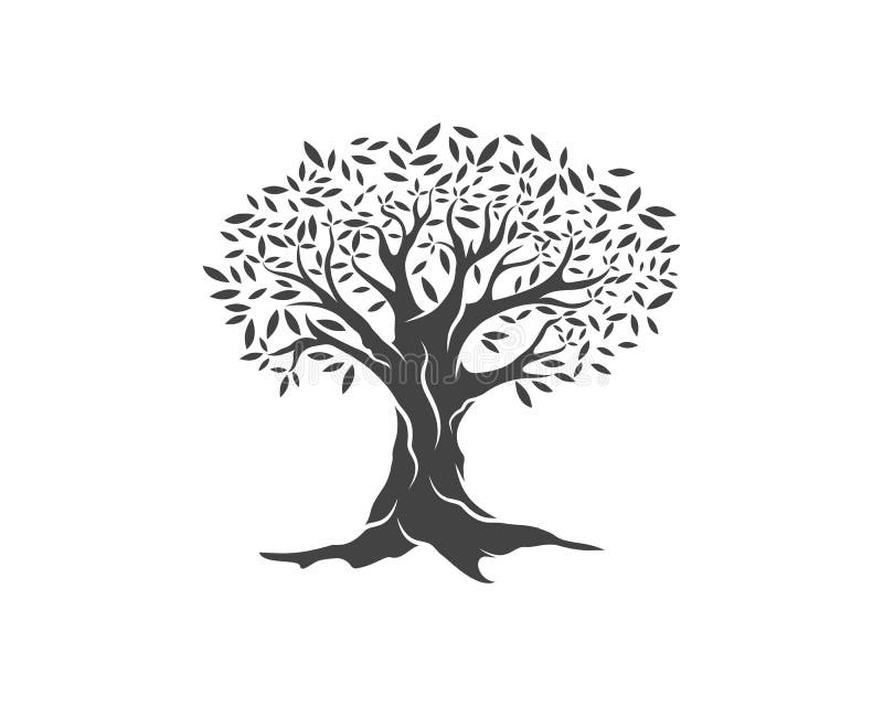 Olive Tree Vector Illustration Stock Vector - Illustration of sign ...