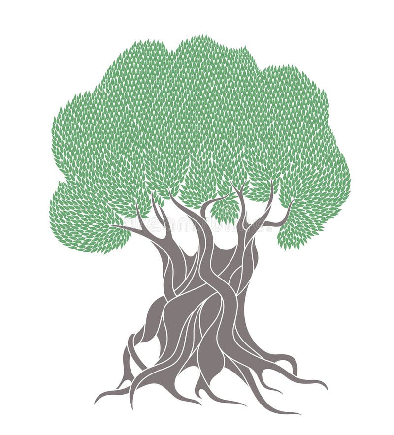 Hand drawn tree symbol stock vector. Illustration of vintage - 36019953