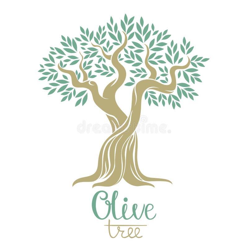 14+ Olive tree vector Free Stock Photos - StockFreeImages