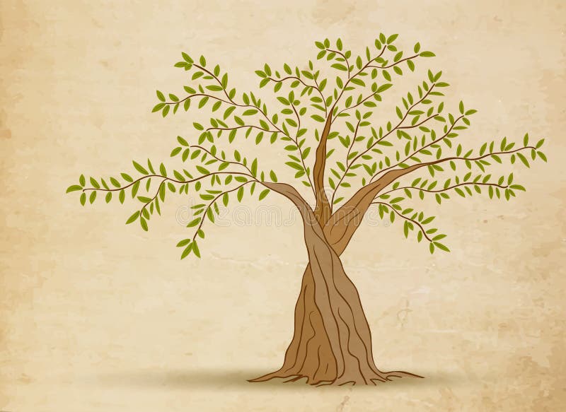 Olive tree vector stock vector. Illustration of plant - 124939356