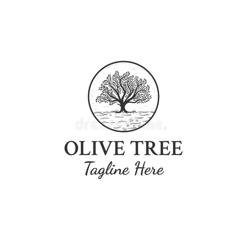 Olive Trees Logo Designs Inspiration Stock Vector - Illustration of ...