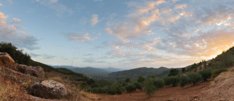Olive trees stock photo. Image of hill, olive, clouds - 145318768