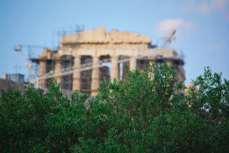 Olive Trees & Parthenon Stock Photo - Image of landmark, archeology ...