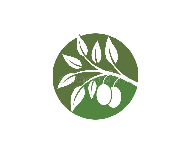 Olive vector icon stock vector. Illustration of freshness - 133078341