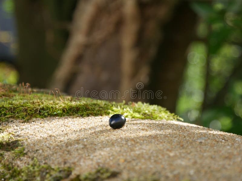 Rotten Olives Stock Photos - Free & Royalty-Free Stock Photos from ...