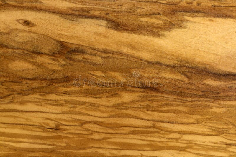 Olive wood stock image. Image of nodes, surface, natural - 24206897