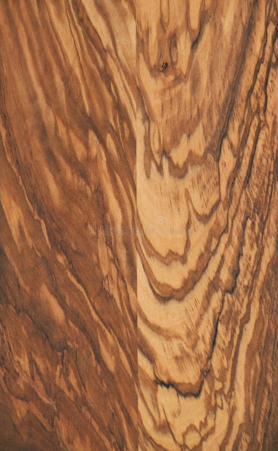 Acacia wood stock photo. Image of acacia, wood, texture - 13868714