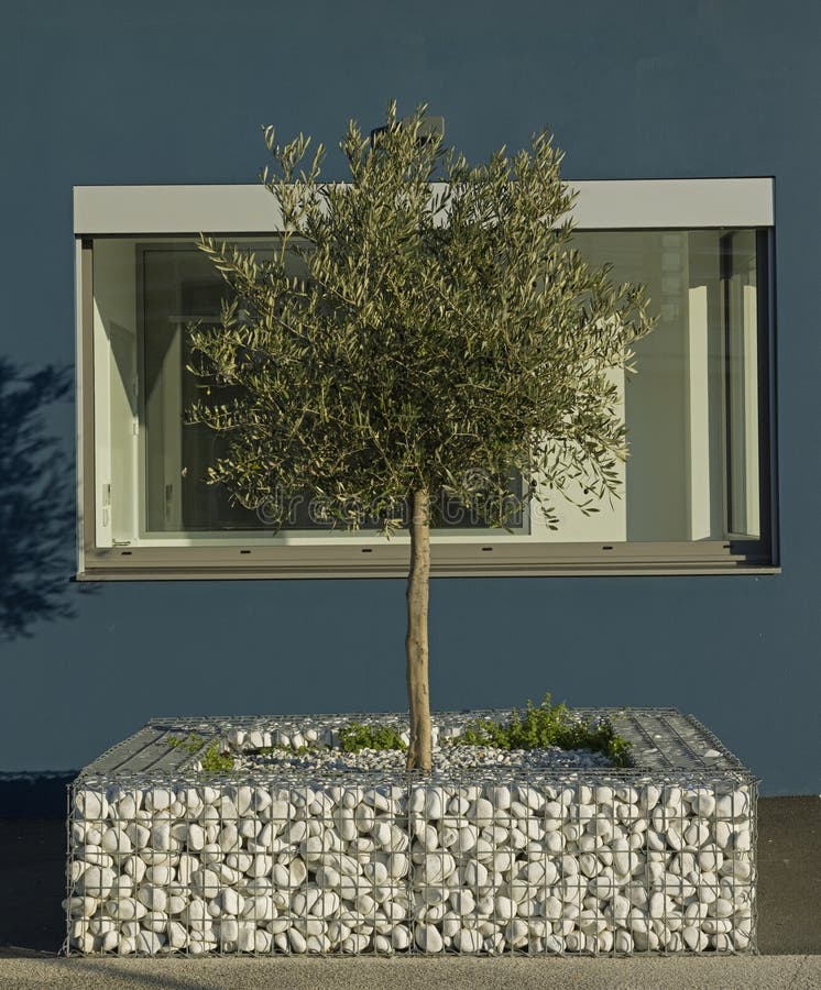 Oliver Surrounded by a White Pebble Gabion Structure Stock Photo ...