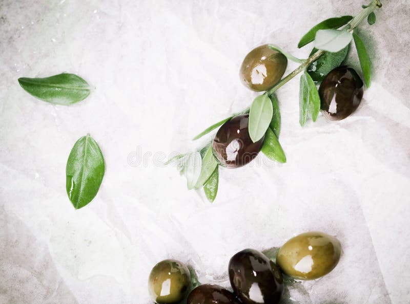 Olives Being Prepared for Culinary Use Stock Photo - Image of vintage ...