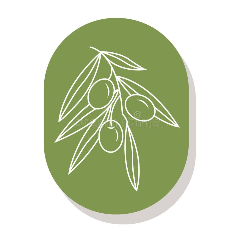 Olives on a Branch. Simple Logo for Your Design Stock Vector ...
