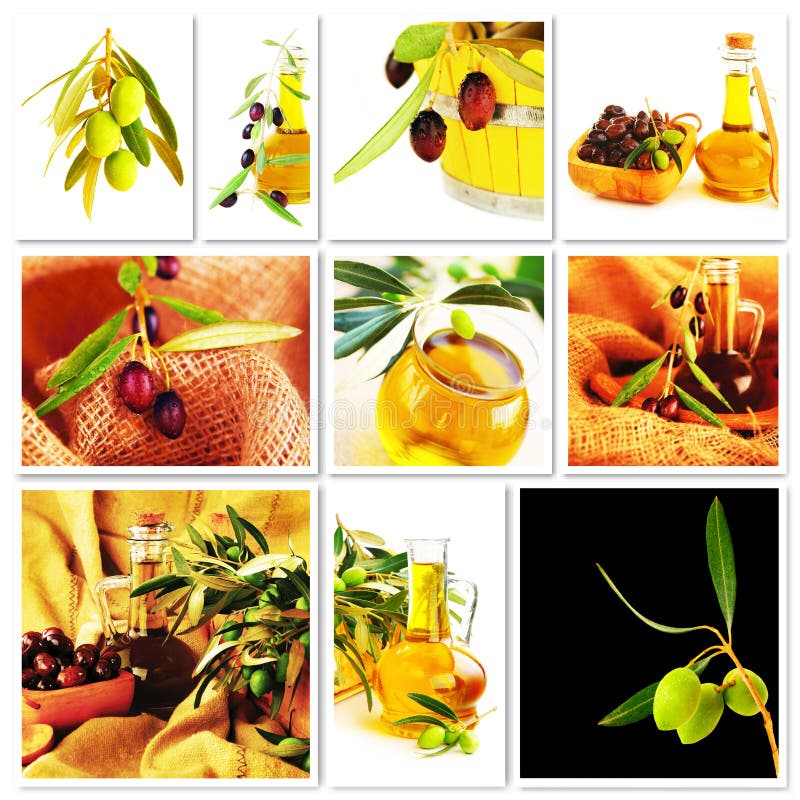 Olive harvest collage stock photo. Image of cooking, extra - 21300490