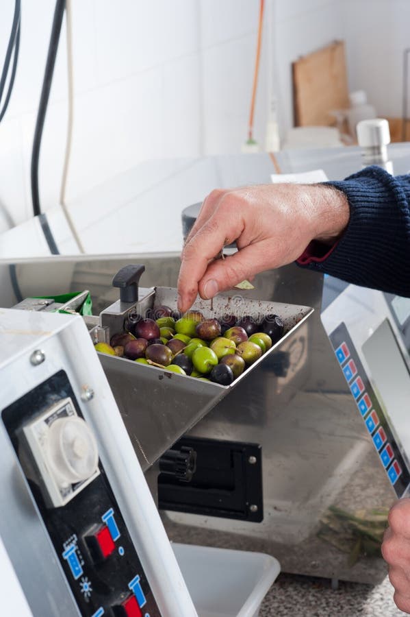 Turning food into fuel stock image. Image of chemistry - 10846843