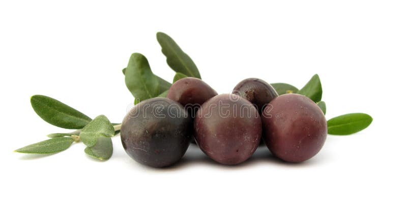 Several Major Parts Stock Photos - Free & Royalty-Free Stock Photos ...