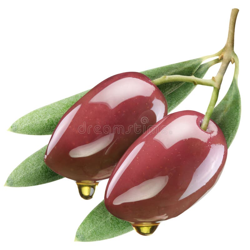 Purple Olives in Oil with Leaves Stock Photo - Image of agriculture ...