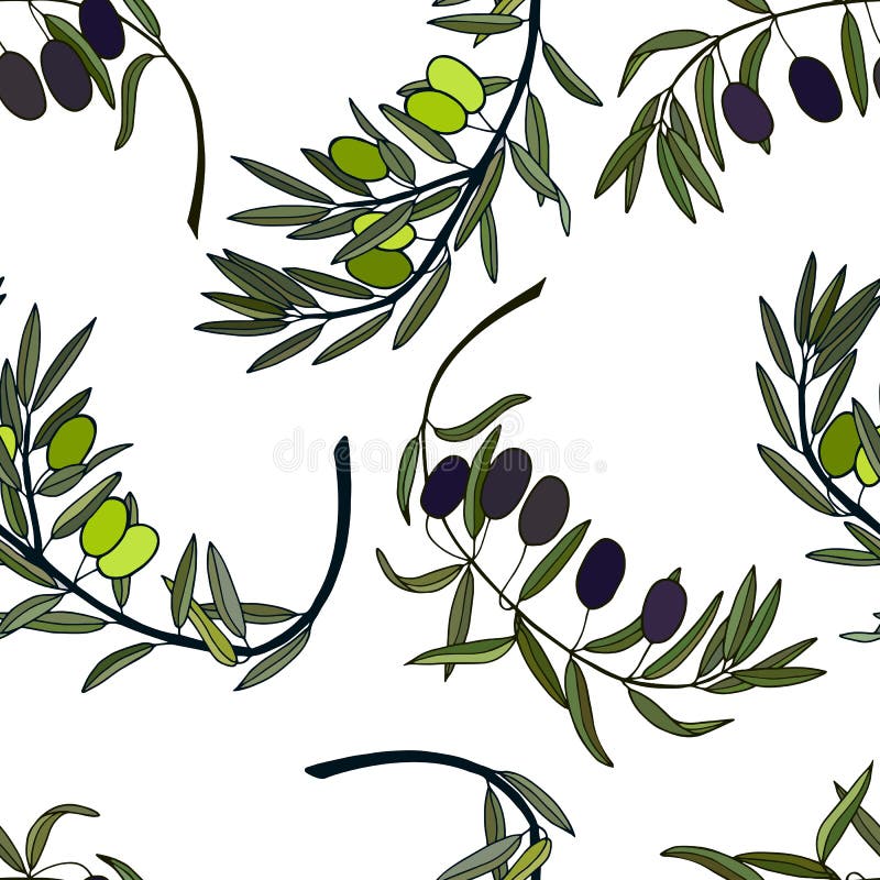 Olives Seamless Pattern. Hand-drawn, Vector Illustrations Eps10. Stock ...