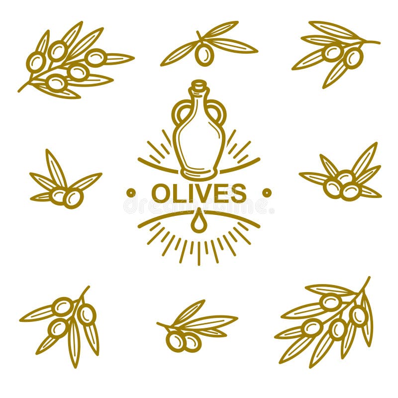 Olives Set. Collection Icon Olives Stock Vector - Illustration of green ...