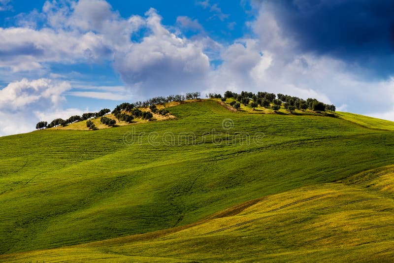 La Collina Della Toscana, Paradiso è Dopo III Fotografia Stock ...