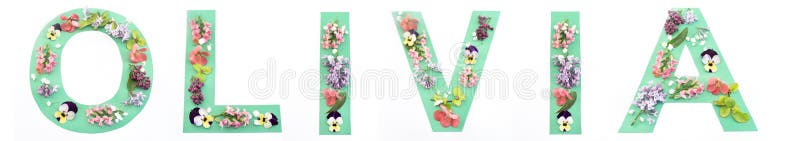 Olivia Word Made Paper Spring Flowers Stock Photos - Free & Royalty ...