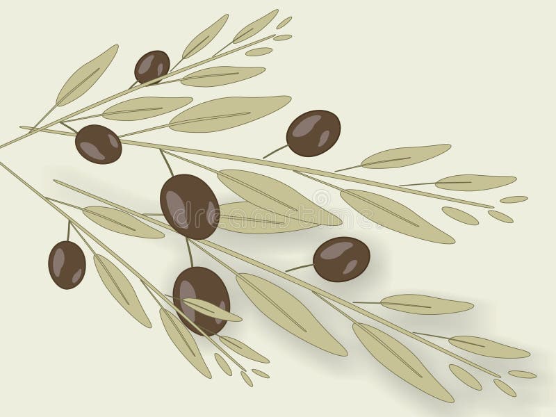 Olivo, vector stock de ilustración. Ilustración de icono - 63259456