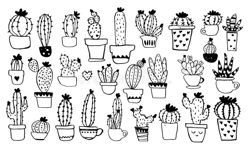 Ollection Of Different Types Of Cacti In Pots Line Sketch Hand