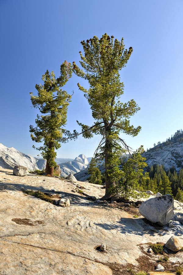 Olmsted Point, Yosemite National Park Stock Image - Image of heritage ...