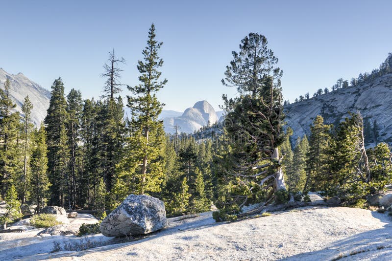 Olmsted Point, Yosemite National Park Stock Photo - Image of attraction ...