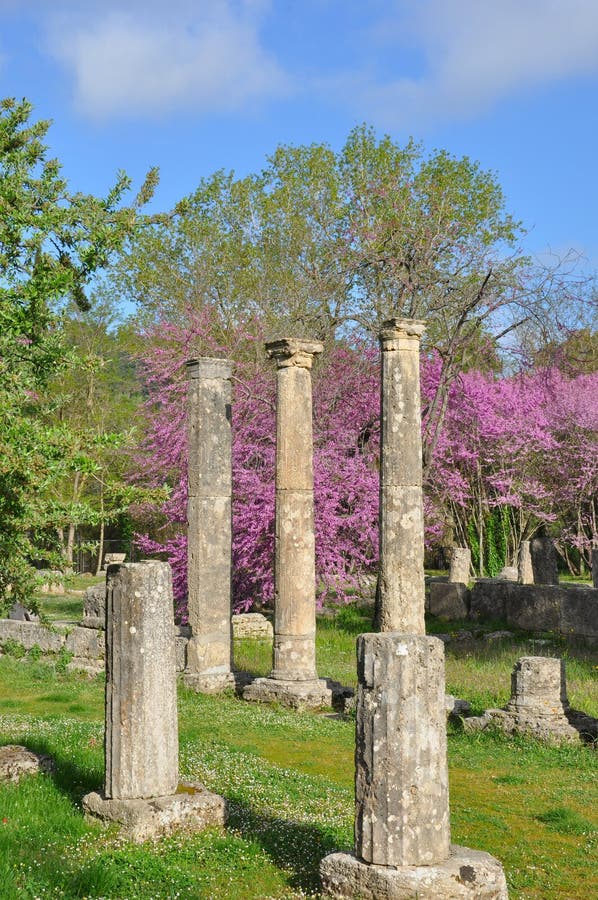 Olympian Columns and Cherry Trees Stock Image - Image of monument ...