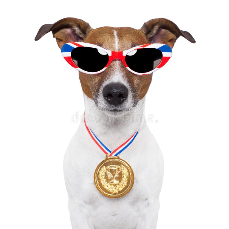 Olympic dog stock image. Image of gold, celebration, funny - 25859517