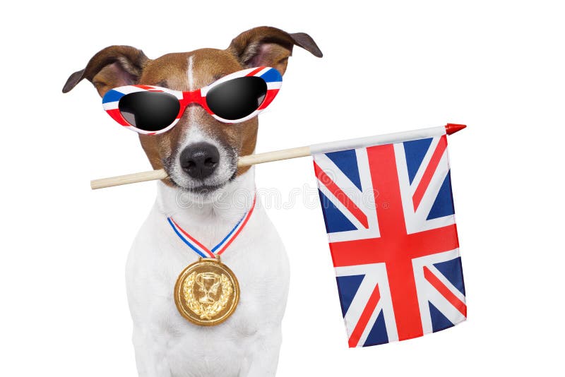 Olympic dog stock photo. Image of joke, gymnastic, athlete - 25859520