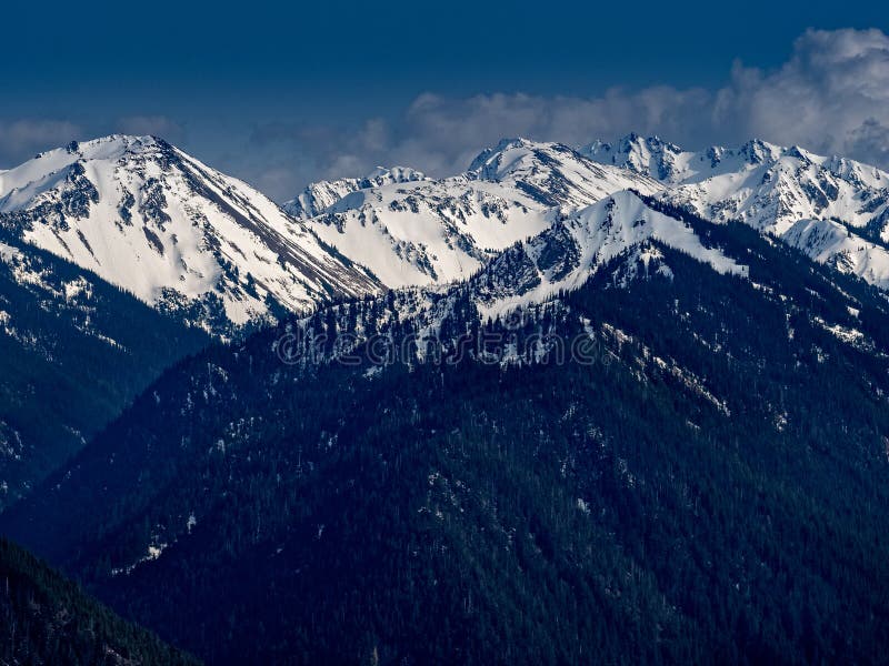 The Olympic Range From The Trail Up Elk Mountain, The Rainshadow Region ...