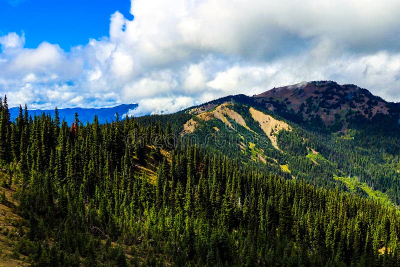 Olympic Mountain Range, Olympic National Park, Washington, USA Stock ...