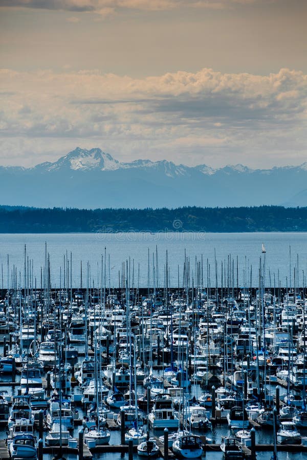 Olympic Mountain Range from Seattle Shore Stock Photo - Image of ...