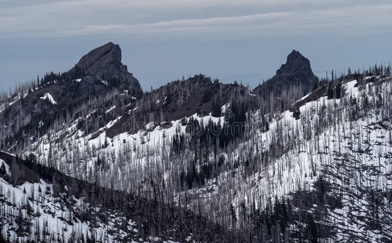 Olympic Mountains stock photo. Image of peak, skiing - 92270770