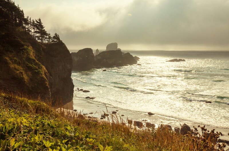 Olympic stock photo. Image of olympic, nature, dusk, natural - 54183384