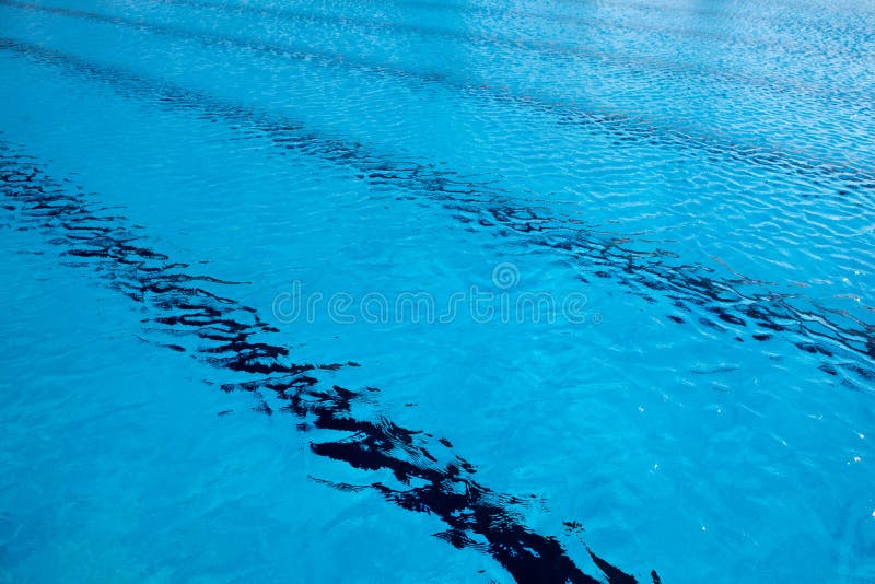 Olympic Pool with a Blue Water Stock Image - Image of sunny, water ...