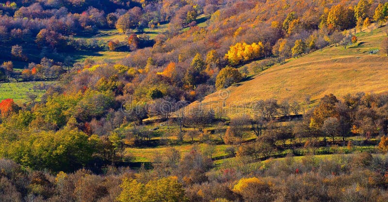 Autumn Story from Mountains of Transylvania , Remetea 26 Stock Image ...