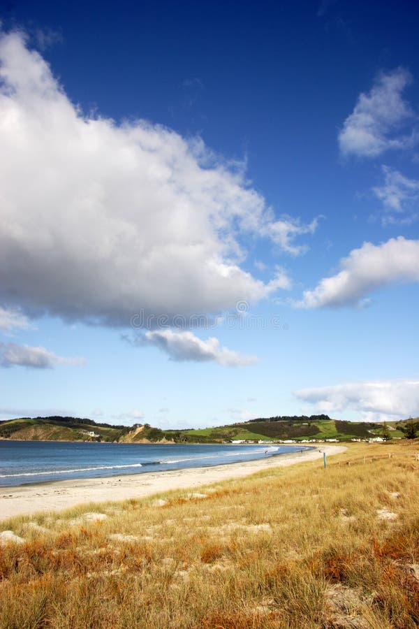 Omaha Beach, New Zealand stock image. Image of weekend - 39610133