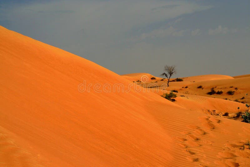 Rim of Red Orange Sand Dune Against Blue Sky Stock Photo - Image of ...