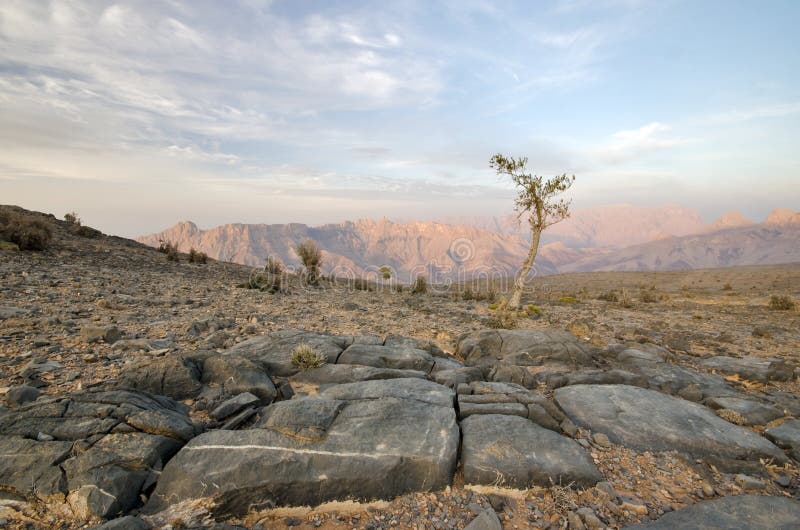 Oman Landscape stock photo. Image of landscape, light - 19661988