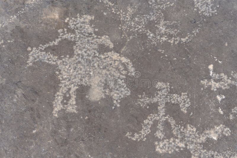Oman - Musandam - Ancient Petroglyph Engravings Stock Photo - Image of ...