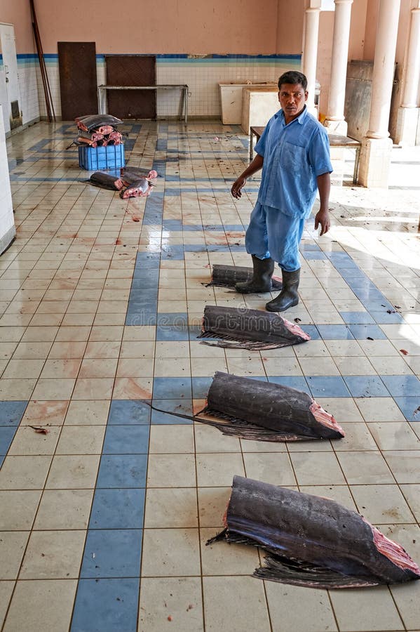 Oman, Nizwa. the Fish Market Editorial Photo - Image of pattern ...